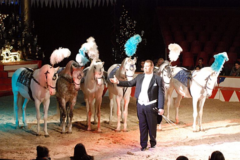 Circus Gebrüder Barelli – Mit Herz und Leidenschaft. Für die ganze ...